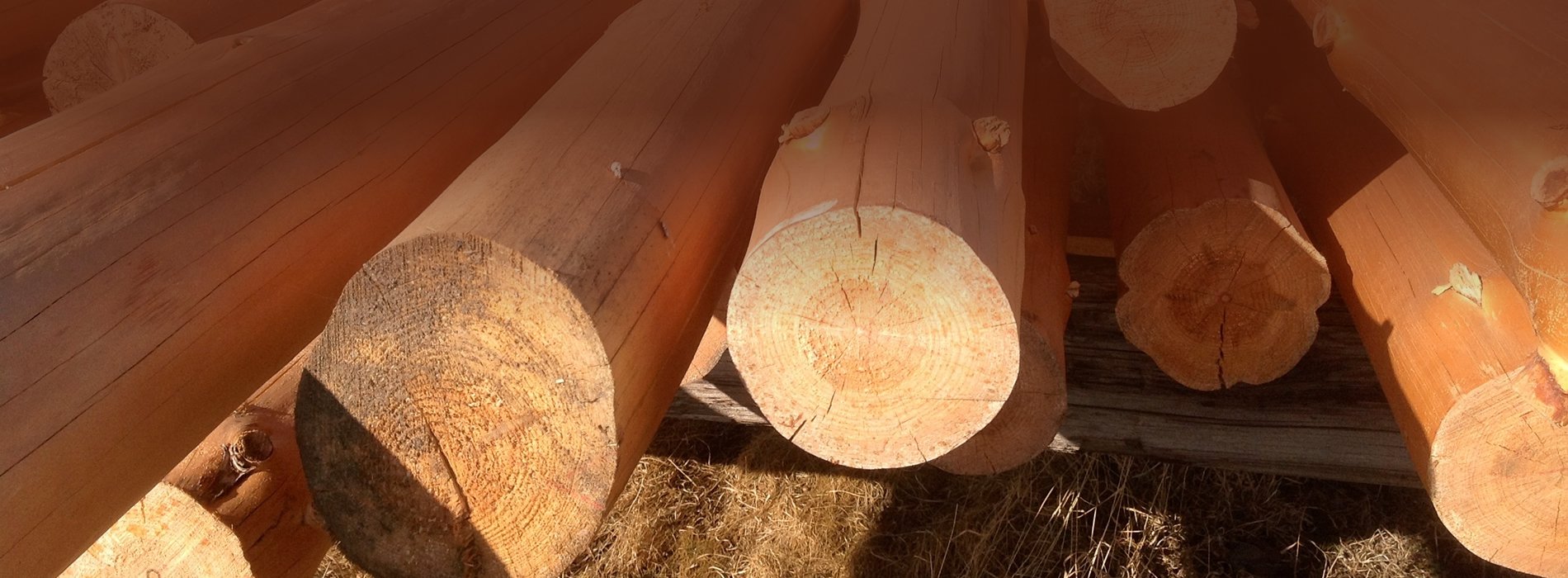 Logs & Sawn Timber Supplier | Sawn Wood Timber Supplier - Kayavlon